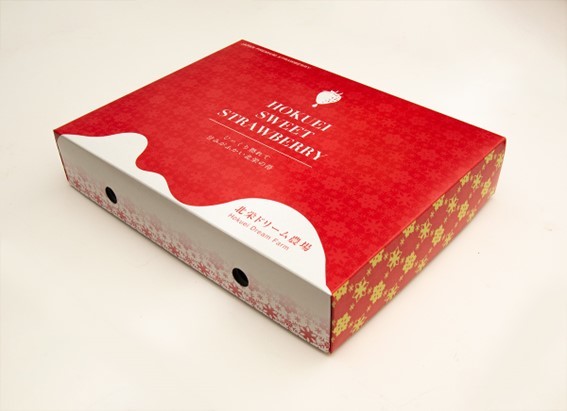 プロ農業者の方への支援｜J-PAO 日本プロ農業総合支援機構